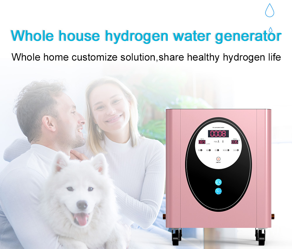 3000PPB Whole House Hydrogen Water Generator System – Suyzeko